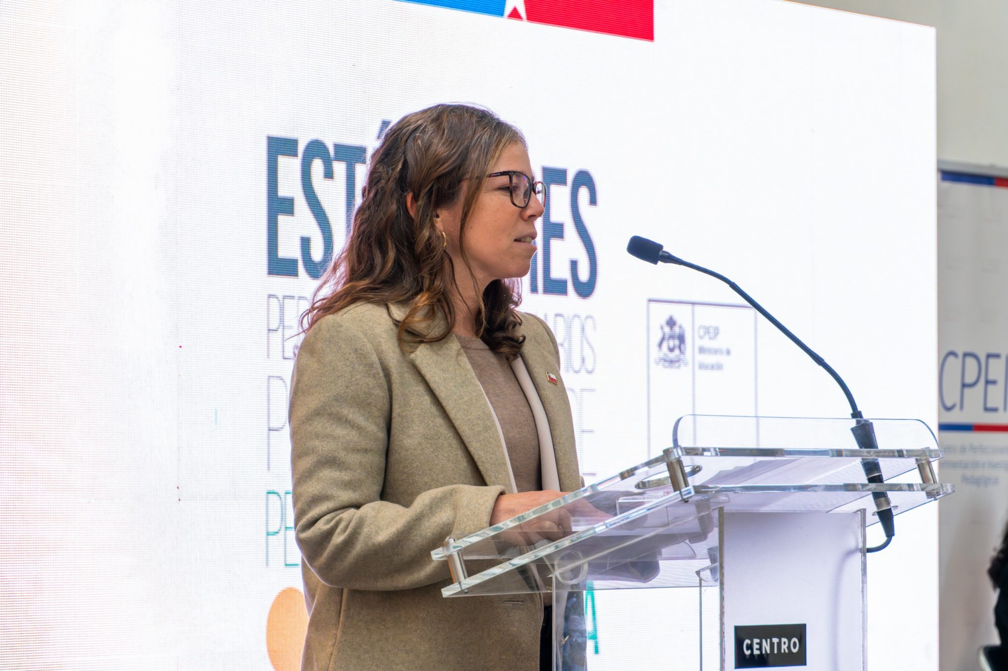 Lanzamiento Estándares Pedagógicos y Disciplinarios para Carreras de ...